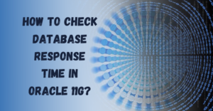 How to Check Database Response Time in Oracle 11g?